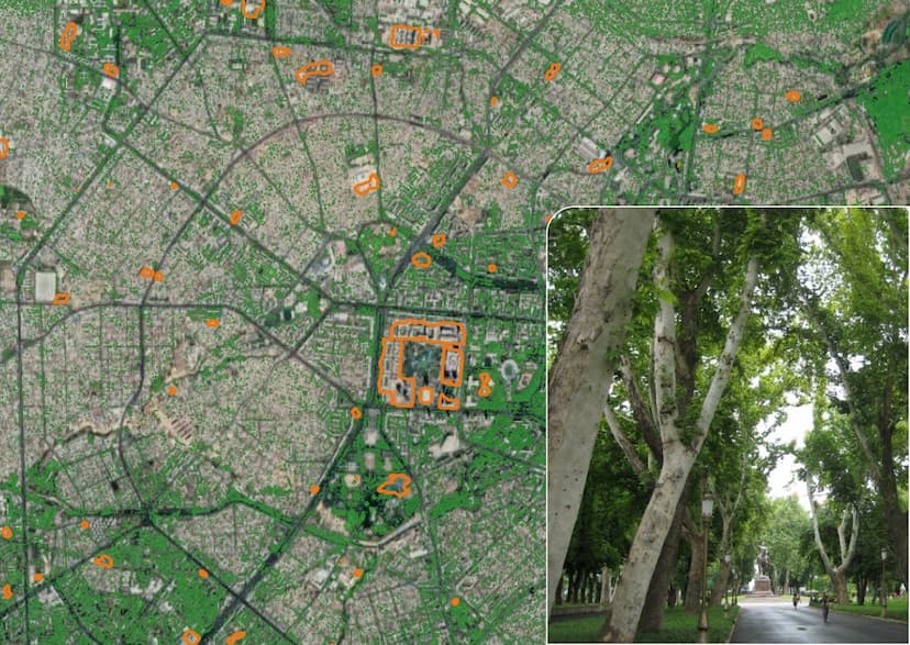 Mapflow.AI - AI mapping and imagery analysis platform